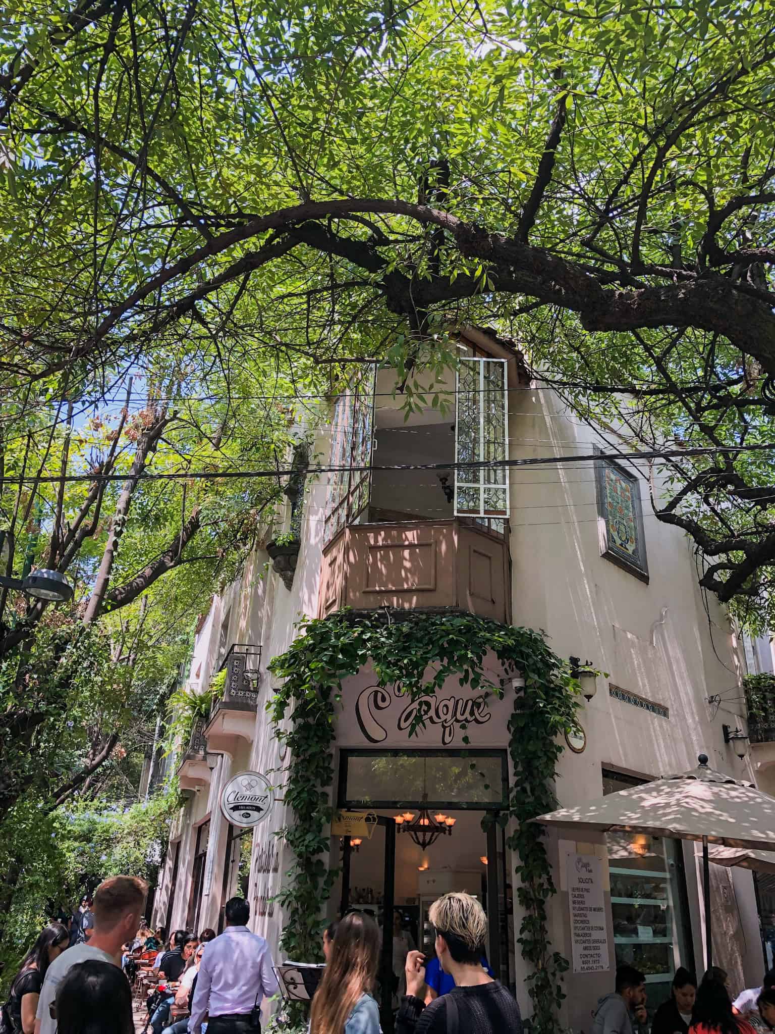 BEST Breakfast in Mexico City: 25 Breakfast & Brunch Restaurants ...