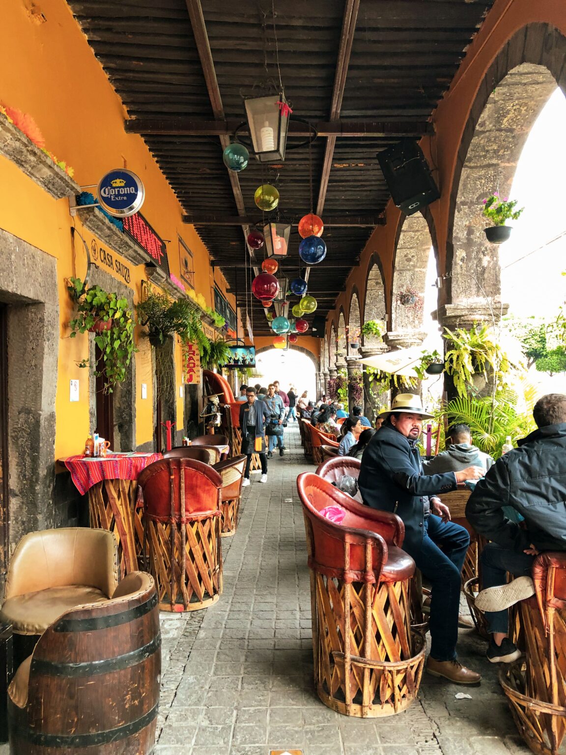 5 BEST Tequila Tours in Jalisco, Mexico 2024 - Nomadic Travelista