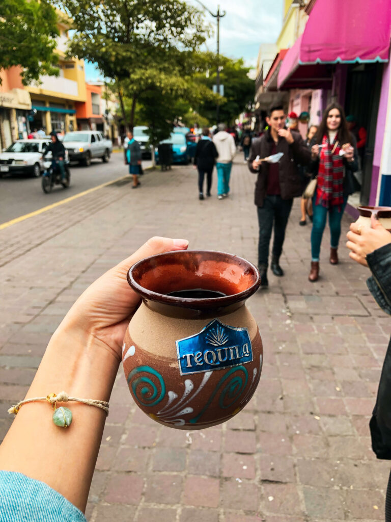 5 BEST Tequila Tours in Jalisco, Mexico 2024 - Nomadic Travelista