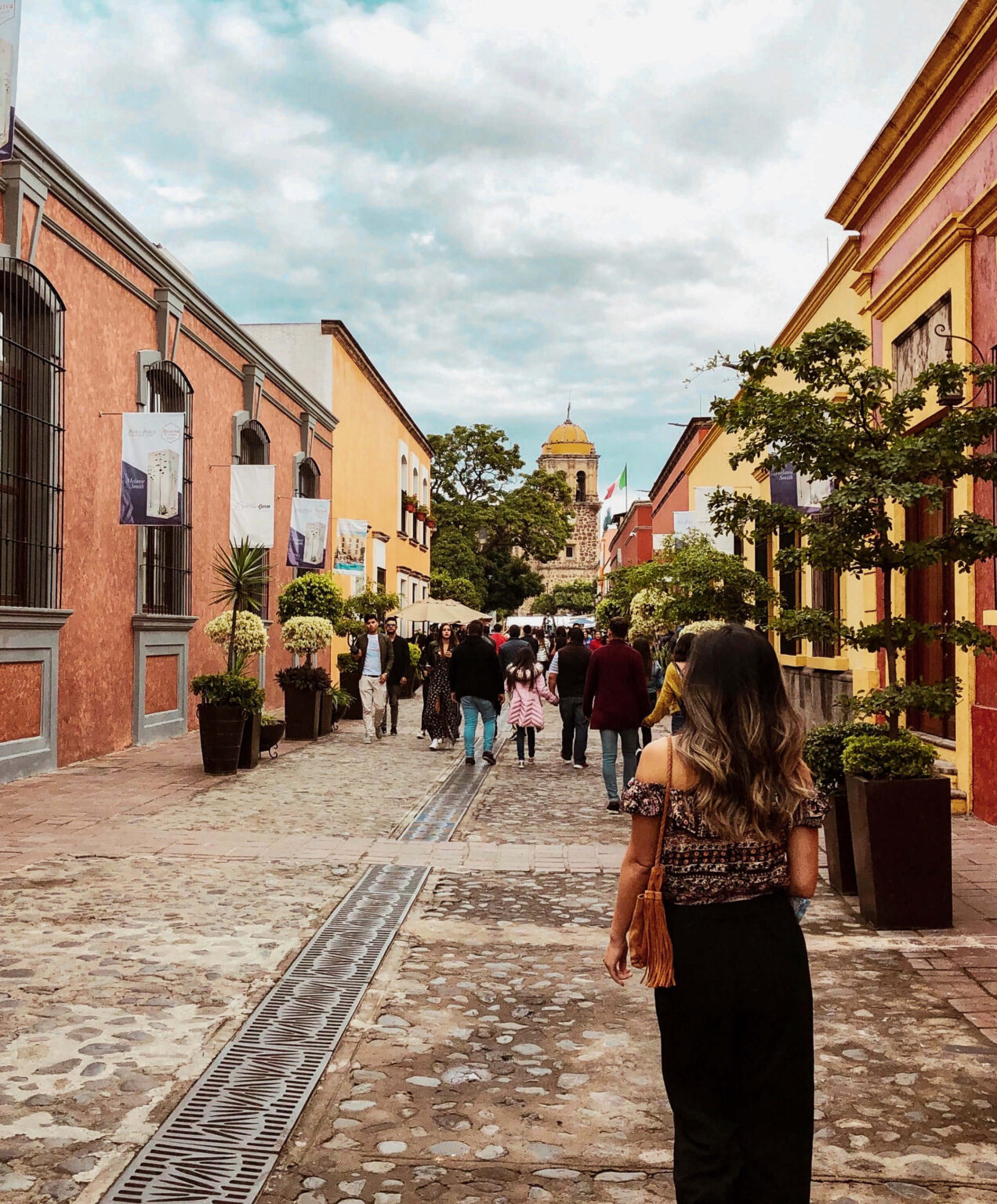 5 BEST Tequila Tours in Jalisco, Mexico 2024 - Nomadic Travelista